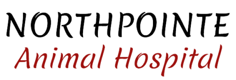 Best Veterinary Hospital In Tomball, TX | Northpointe Animal Hospital